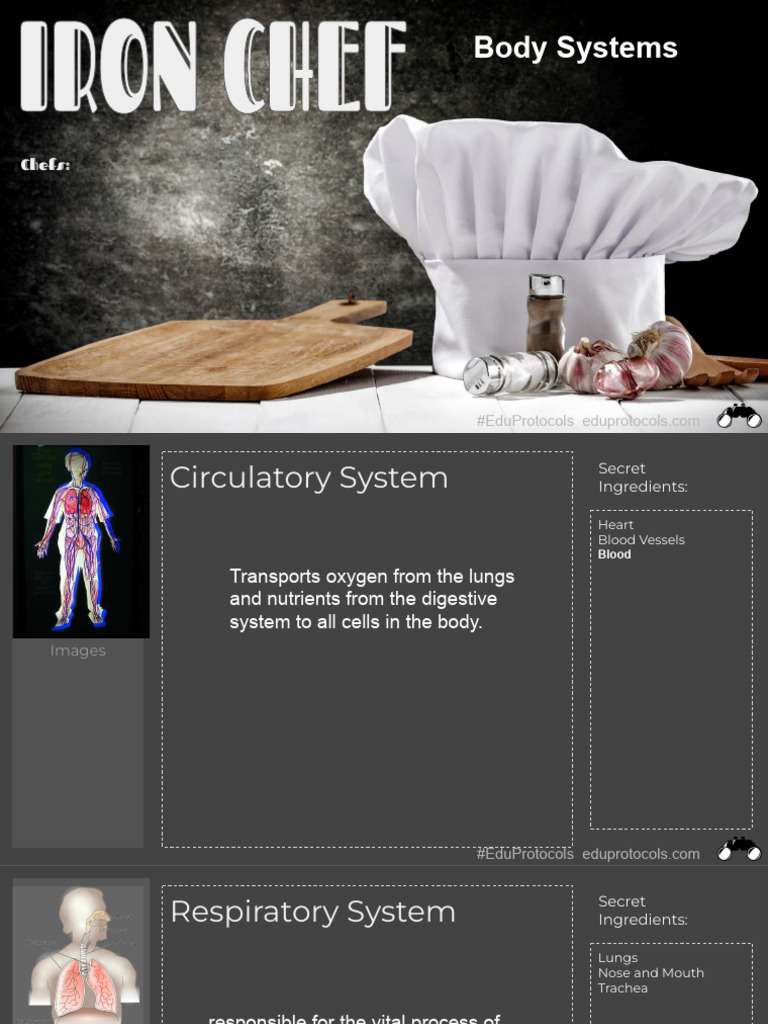 Iron Chef Body Systems | PDF | Human Body | Muscle