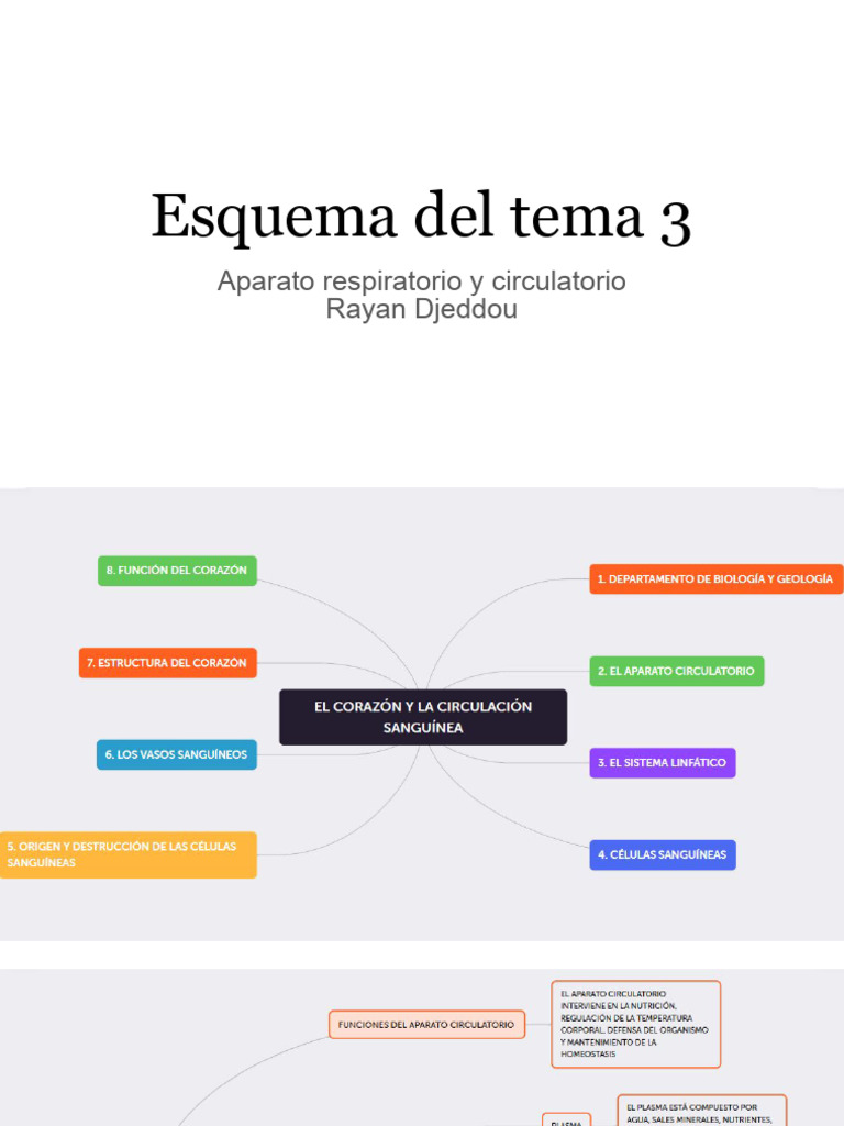 Esquema Del Tema 3 | PDF