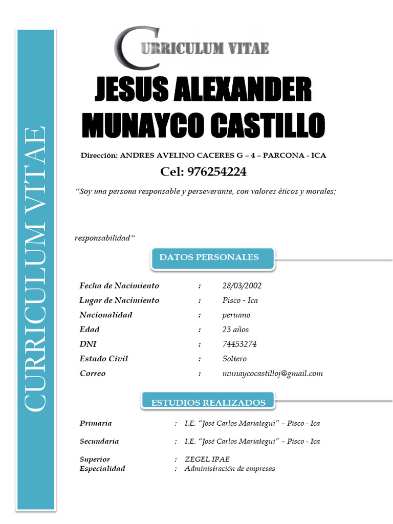 CV Jesus Alexander Munayco Castillo | PDF