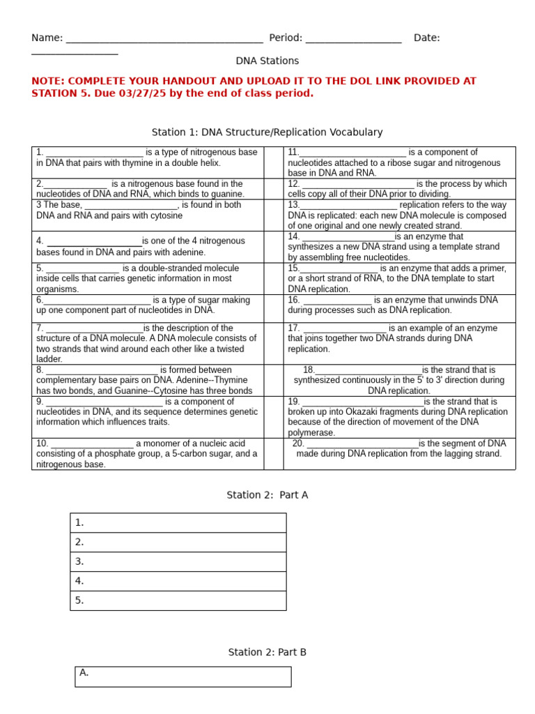 DNA Structure and Replication Stations - Student Handout | PDF | Dna ...