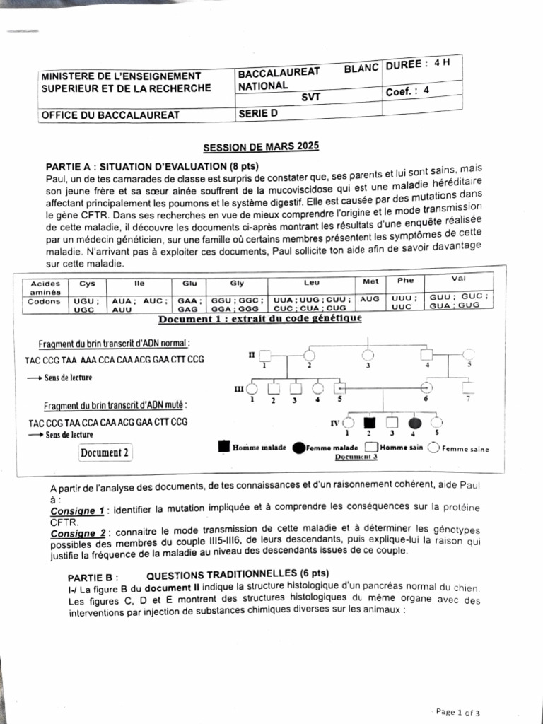 BAC II - Blanc 2025 | PDF