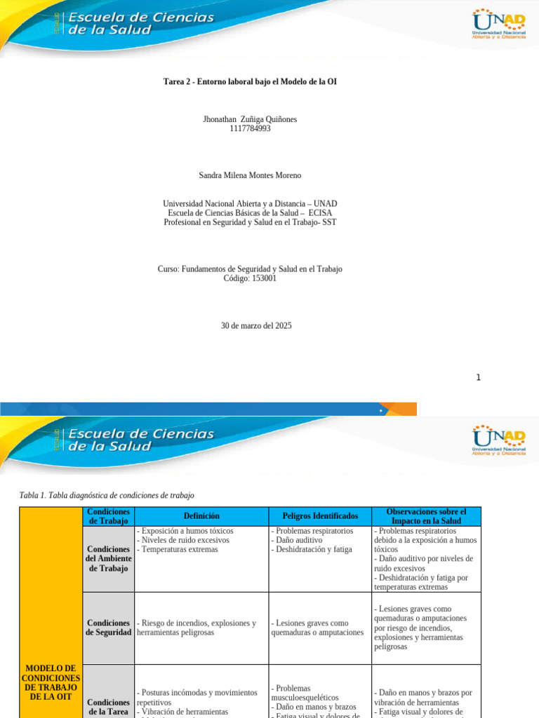 Tarea 2 - Entorno Laboral Bajo El Modelo de La OIT ZUÑIGAAA | PDF | Seguridad y salud ocupacional