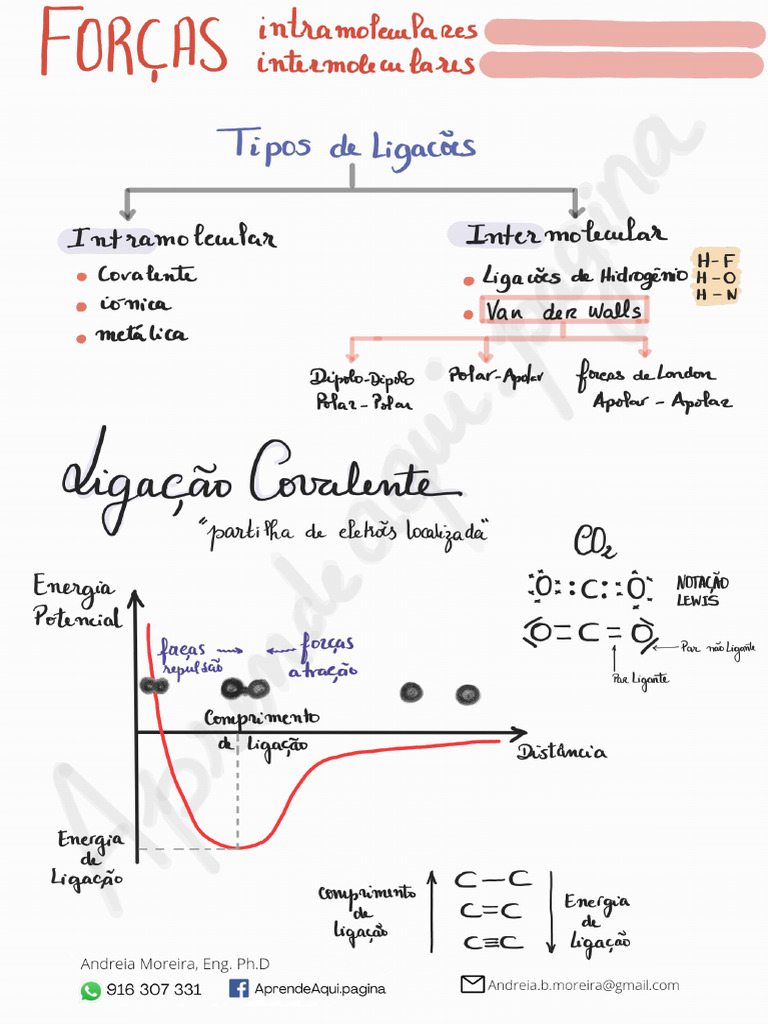 Forças Intra e Inter | PDF