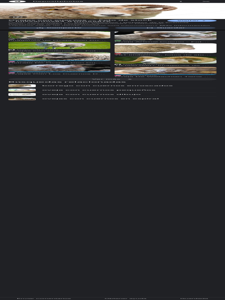 Ovejo - Con Cachos - Buscar Con Google | PDF