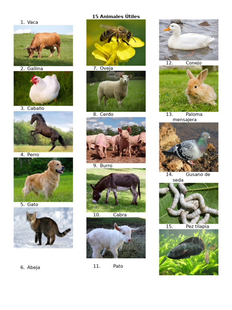 15 Animales Útiles y 25 Dañinos | PDF