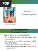 The Skeletal System Answer Key | PDF