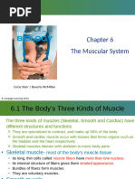 Student Exploration: Muscles and Bones | PDF | Muscle | Arm