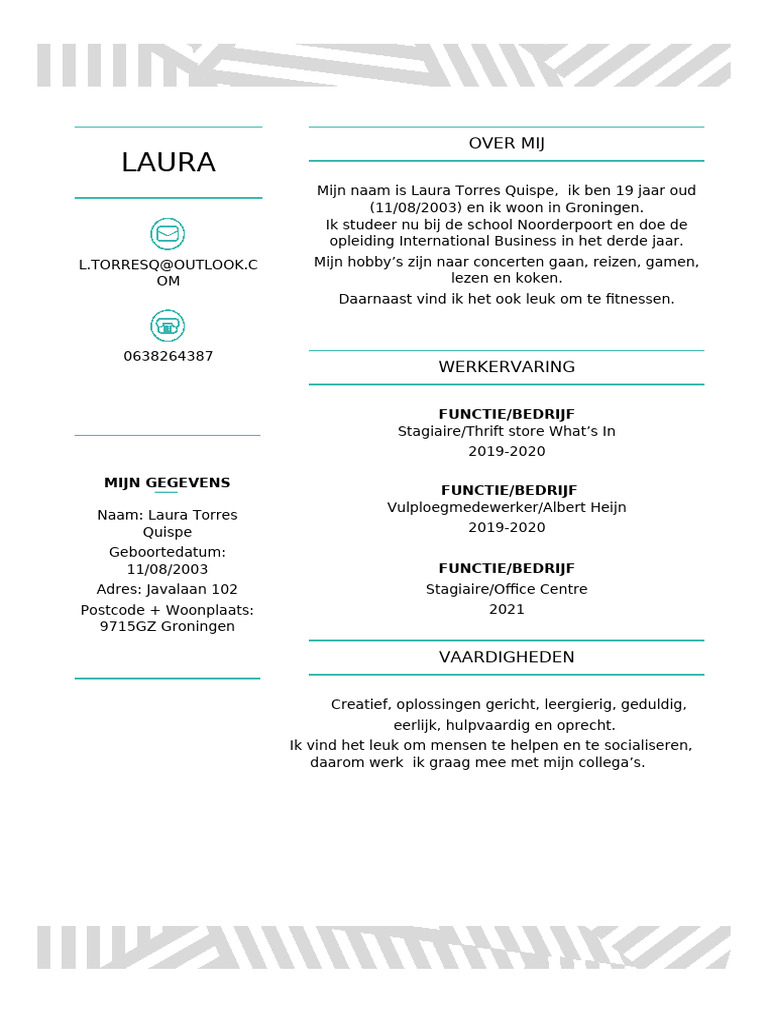 CV Laura | PDF