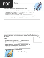 Labeled Female Squid Dissection Guide | PDF | Mollusca | Anatomical ...