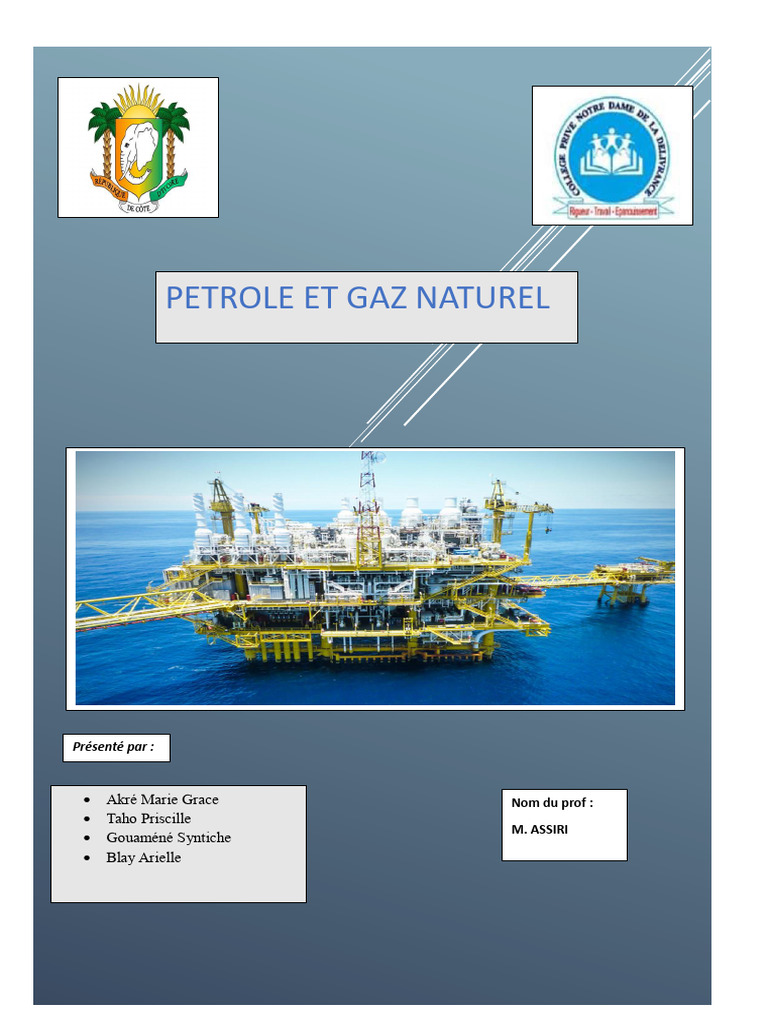 Pétrole et Gaz Naturel : Enjeux et Impact | PDF | Pétrole | Gaz naturel