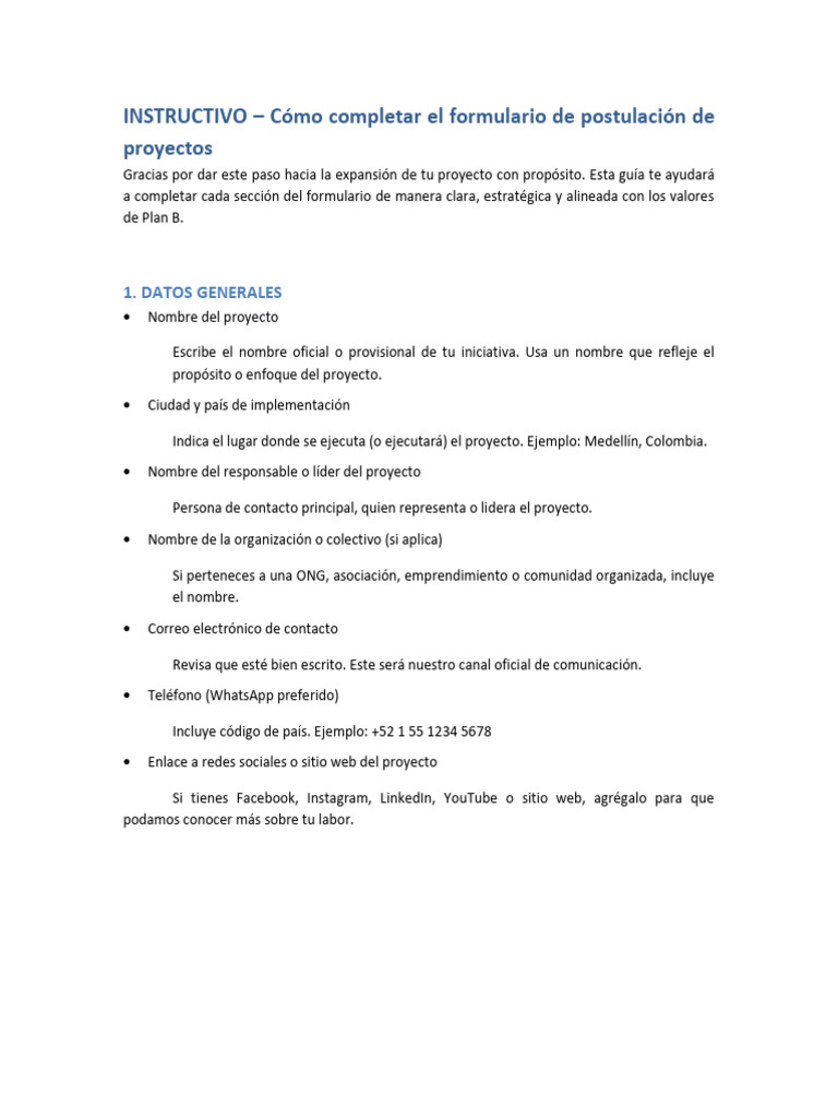 Instructivo Formulario Proyectos PlanB | PDF | Organización no gubernamental