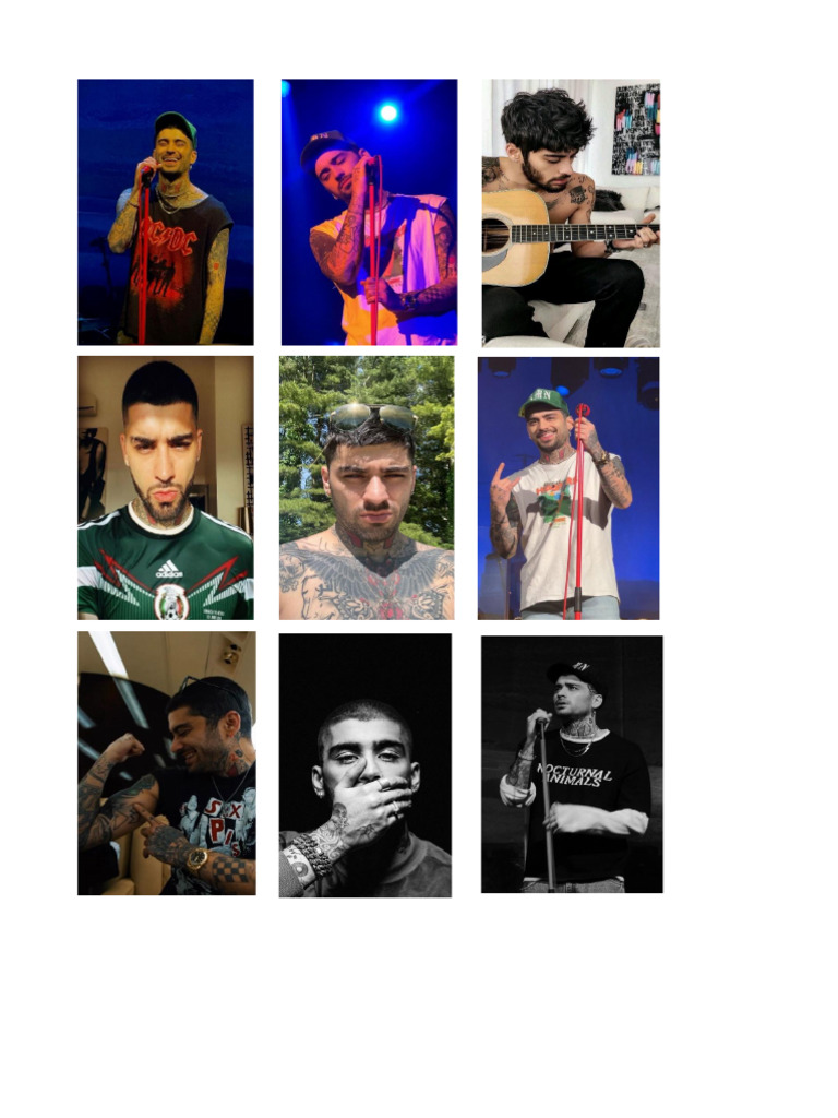 Zayn | PDF