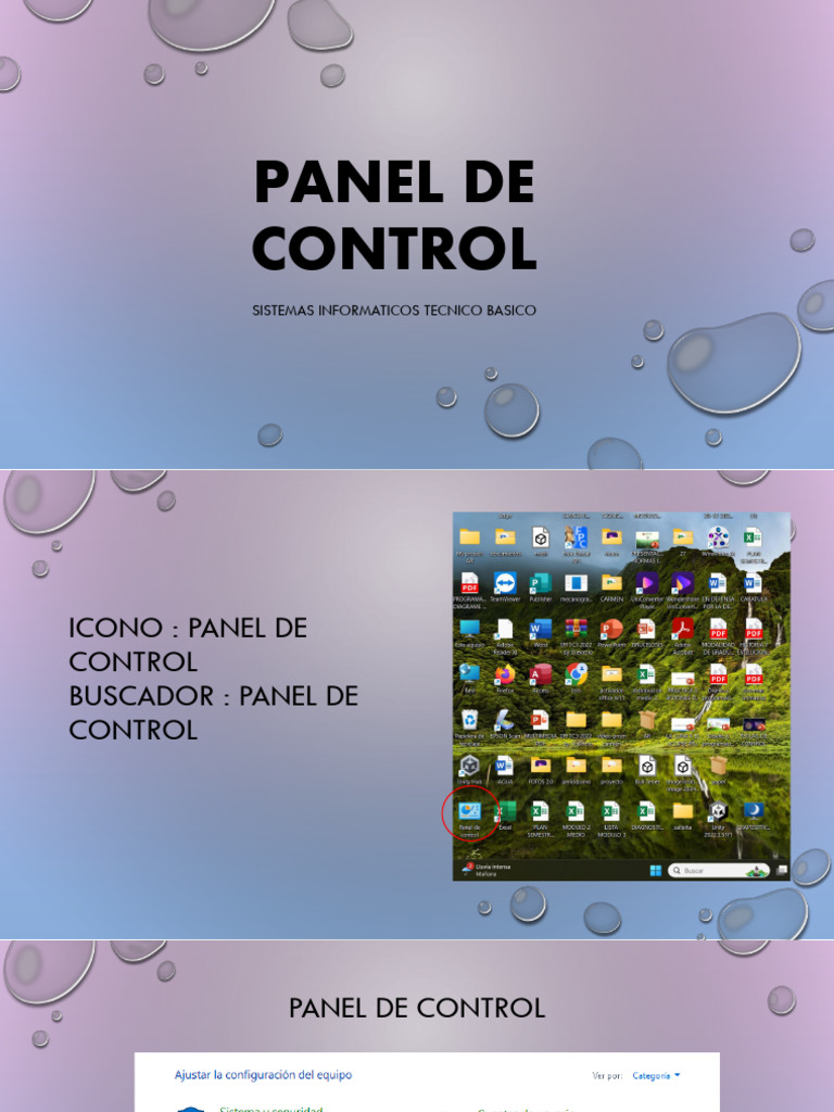 Panel de Control | PDF