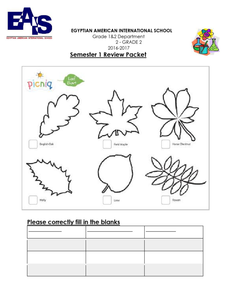 Science Review Packet Term 2 | PDF | Soil | Earth