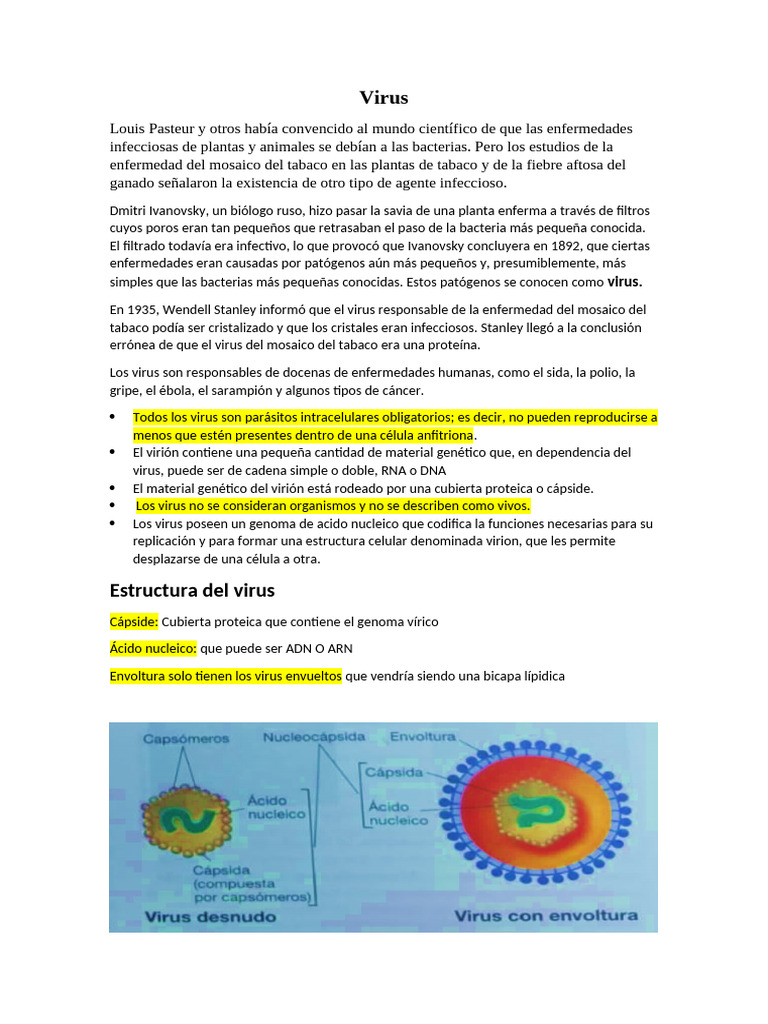 Virus y macromoléculas biológicas | PDF | Virus | Carbohidratos