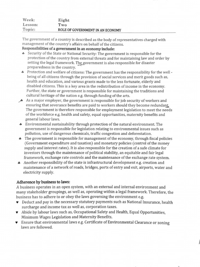 Roles of Government in An Economy | PDF