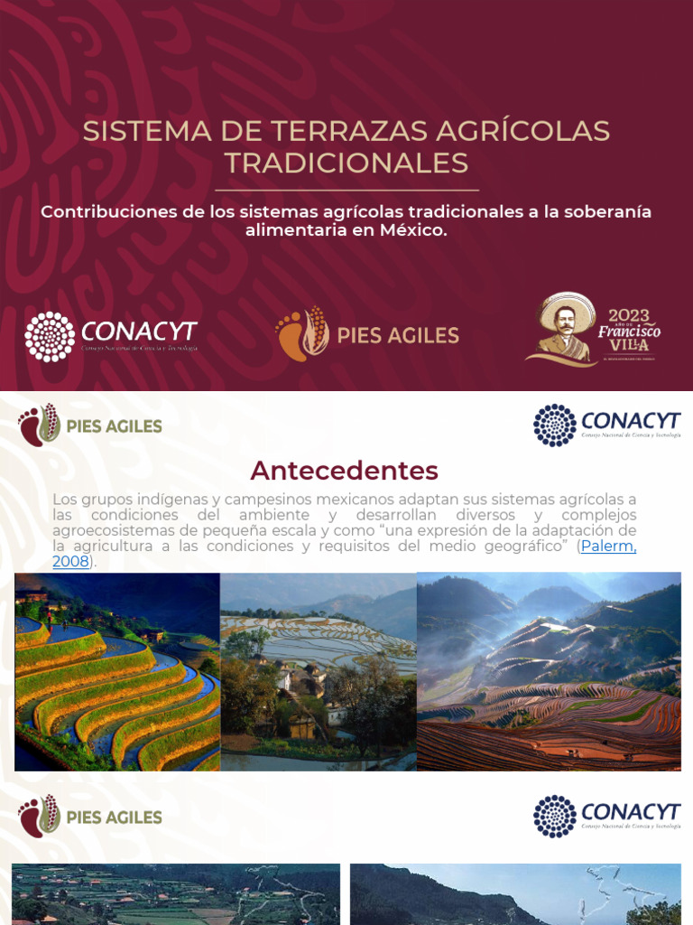 Terrazas Agricolas Tradicionales | PDF | México | Agricultura