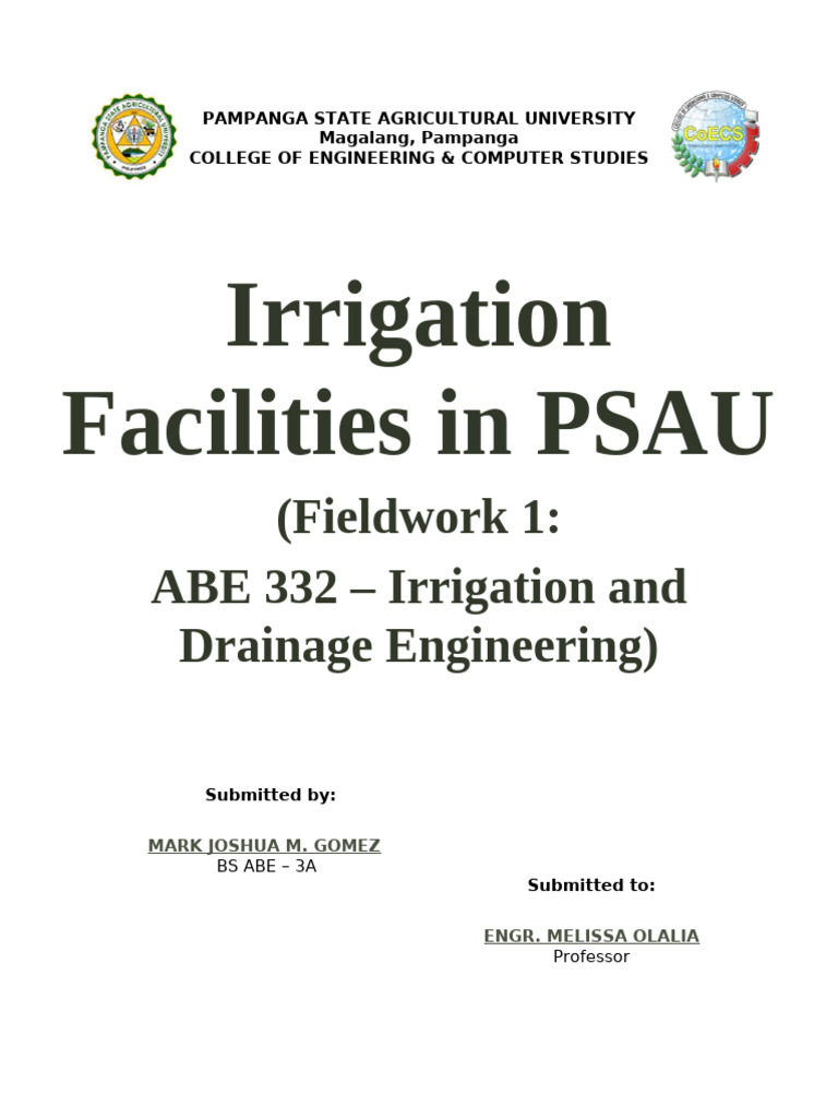 GOMEZ, Mark Joshua M. - BSABE 3A - Fieldwork Irrigation | PDF | Irrigation | Canal