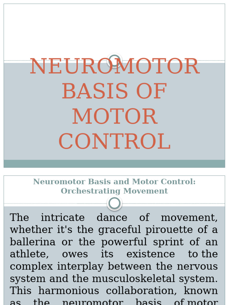 Neuromotor Basis of Motor Control | PDF | Motor Neuron | Neuron