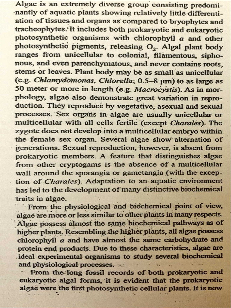 Classification of Algae | PDF