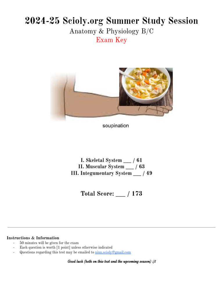 Anatomyphysiology 2025 BC Ssss-Ninn Key1 | PDF | Bone | Skin
