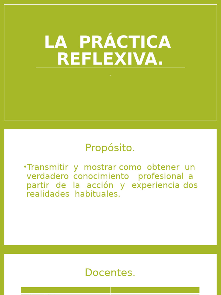 Practica Reflexiva. | PDF