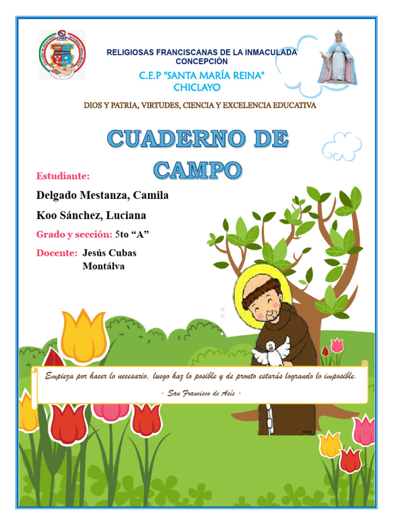 ¿JJJ | PDF | Invalidez | Salón de clases