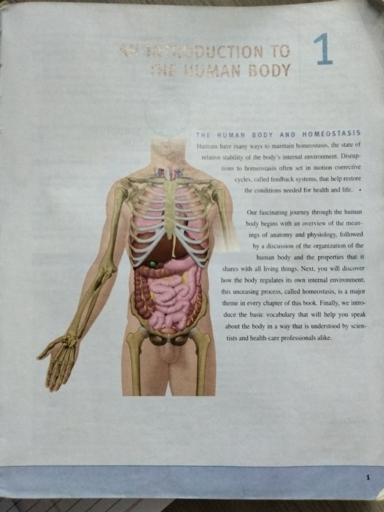 HAP UNIT-1 (Introduction To Human Body) | PDF