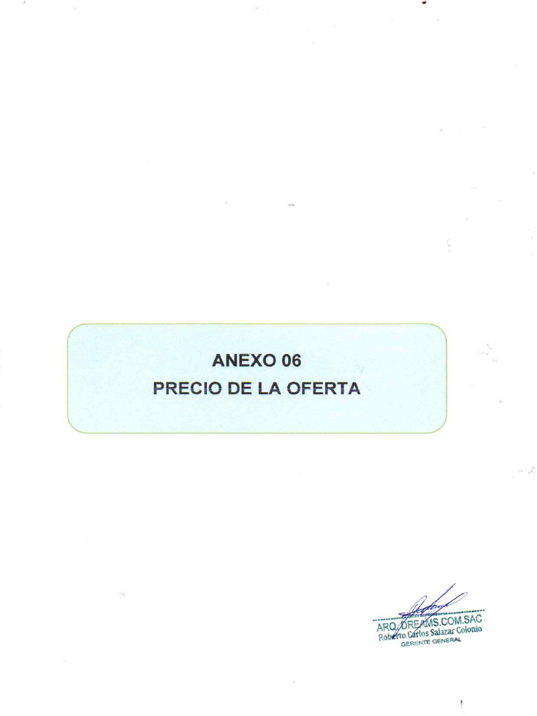 Pre Anexo 06 | PDF