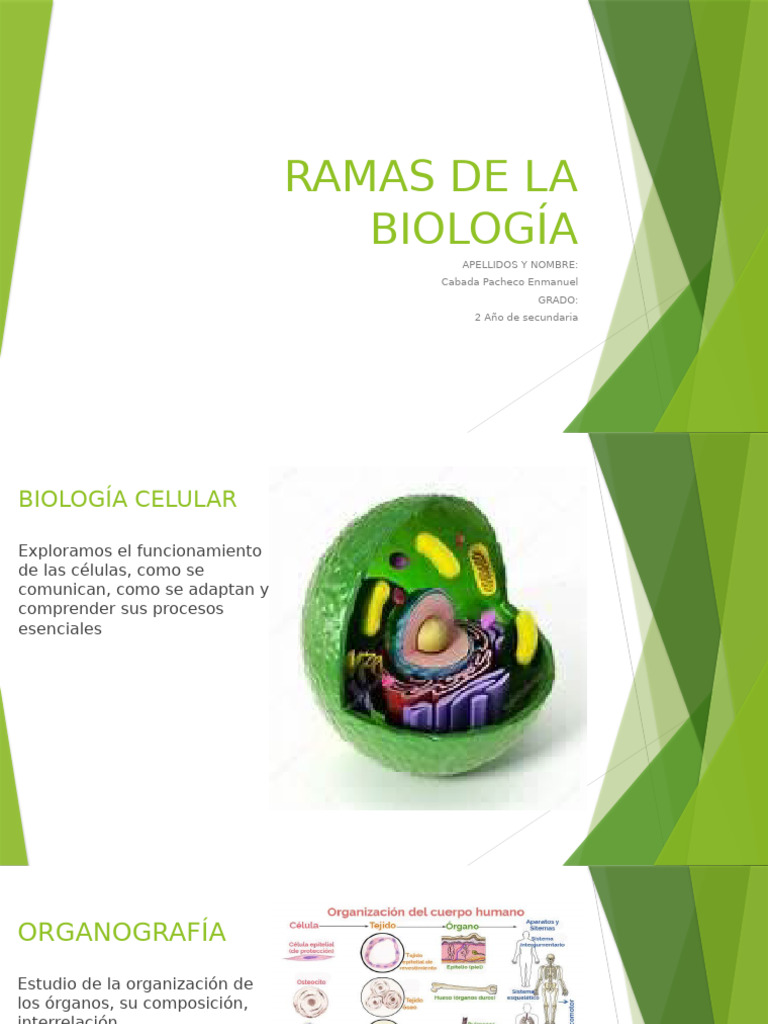 Ramas de La Biología | PDF