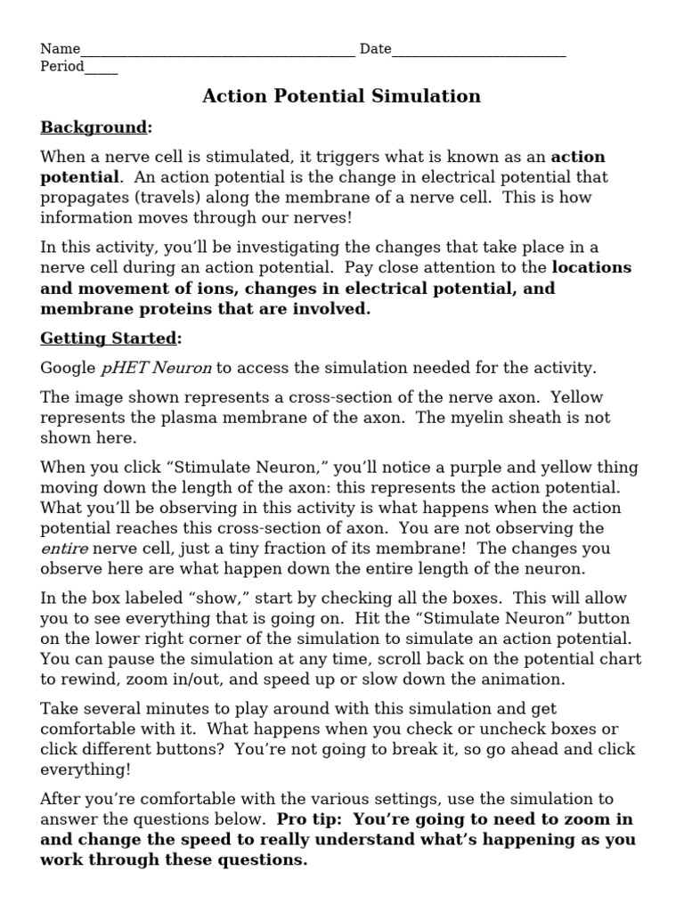 annotated-Action%20Potential%20Simulation.docx | PDF | Action Potential | Membrane Potential