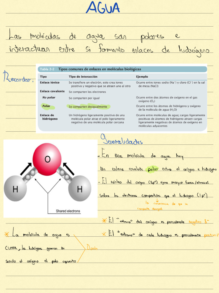 Estructura y propiedades del agua | PDF | Propiedades del agua ...