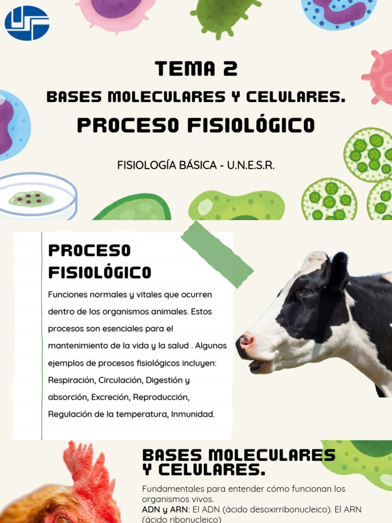 Fisio Tema 2 - 20250307 - 022703 - 0000 | PDF | Transducción de señales | Biología Celular)