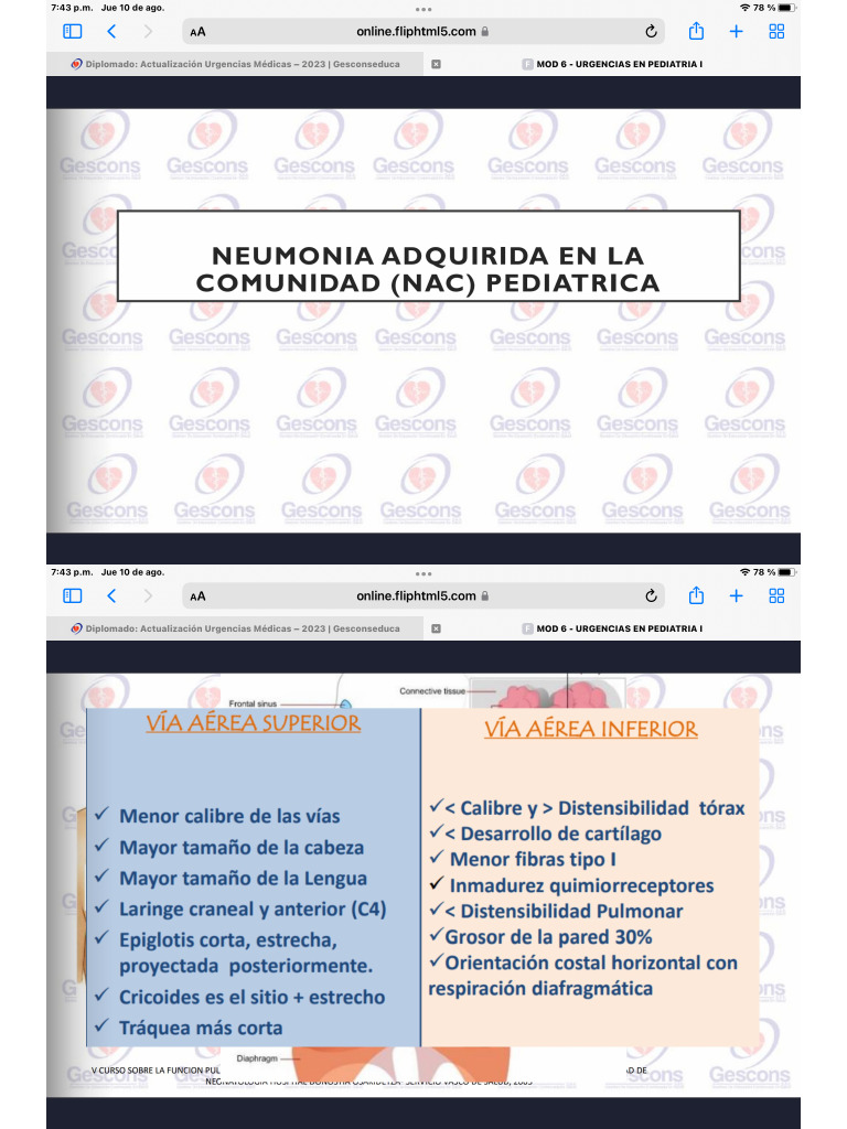 Nac | PDF