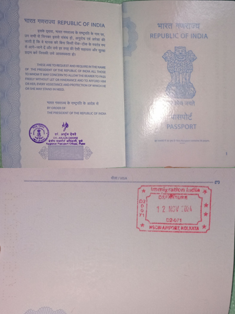 Vaishnvai Satav | PDF