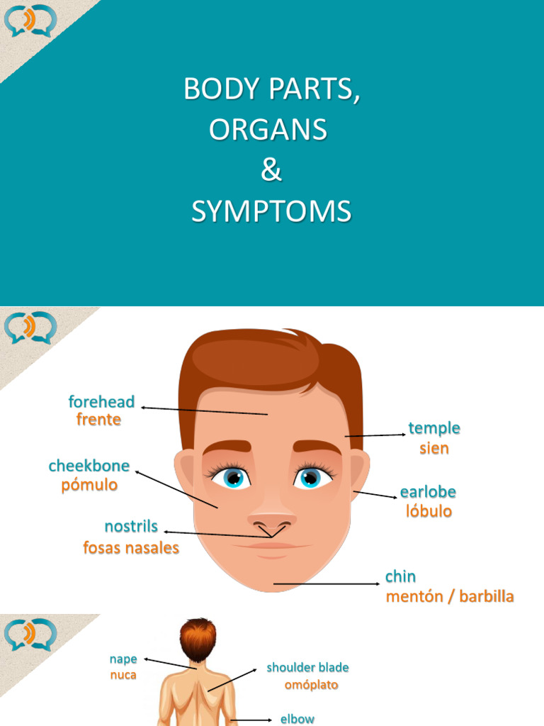 Body Parts, Organs and Symptoms | PDF | Especialidades Medicas | Medicina