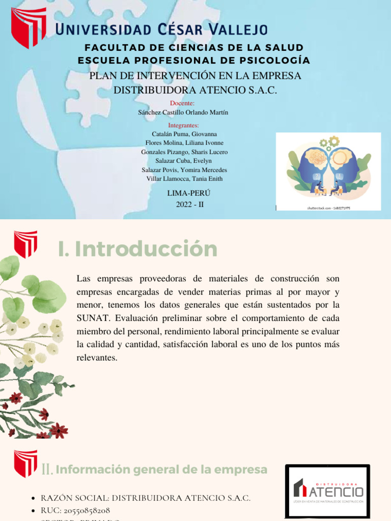 EXPO ORGANIZACIONAL Subir Ahora | PDF