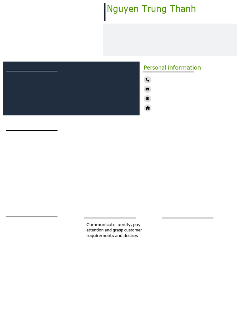 CV Nguyen Trung Thanh English | PDF | Communication