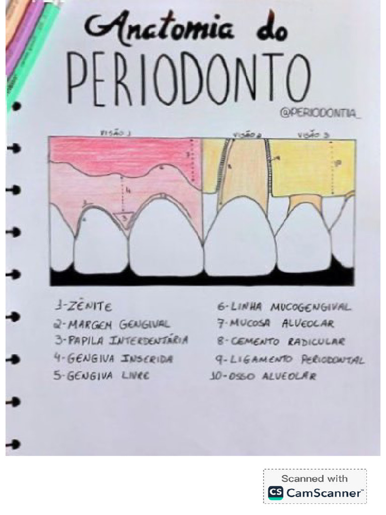 Period On To | PDF