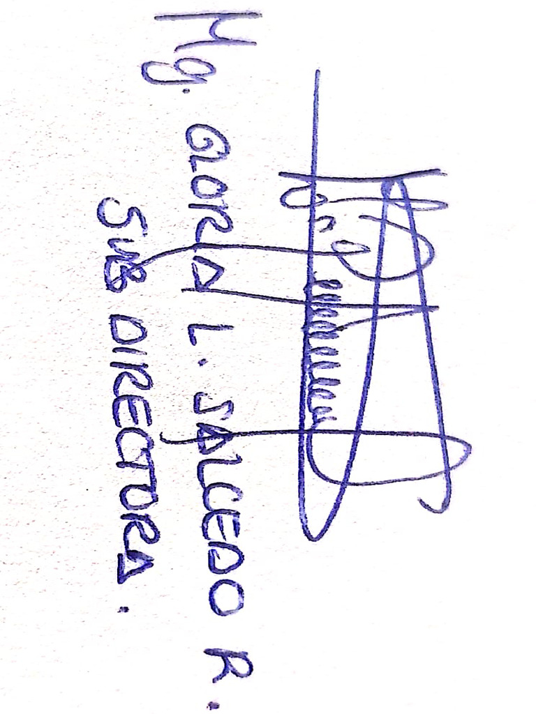 Firma de La Sub Directora | PDF