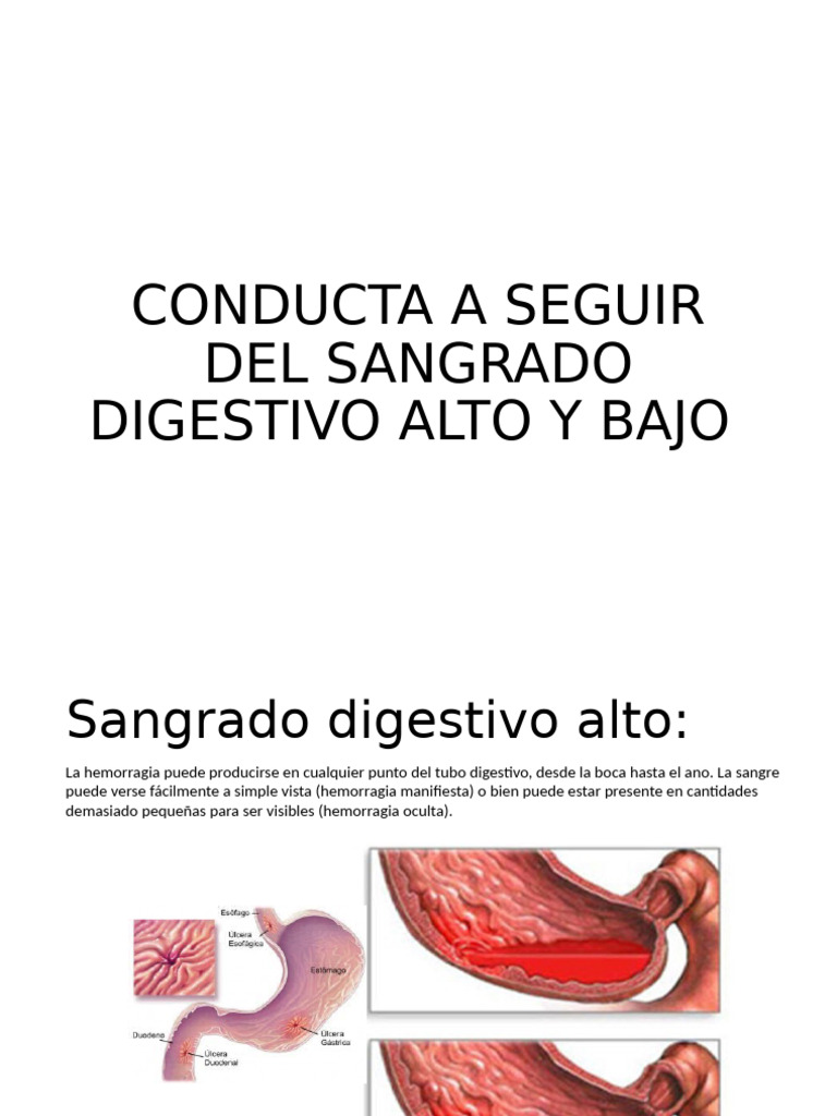 CONDUCTA A SEGU-WPS Office | PDF