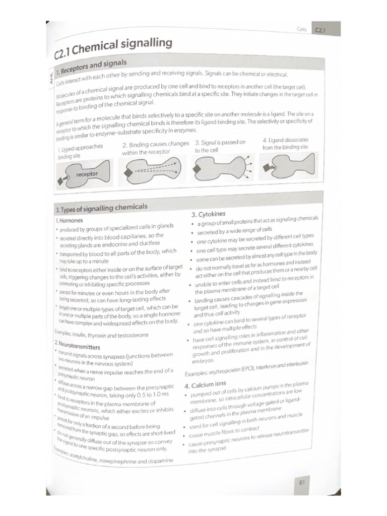 C2.1 Chemical Signalling | PDF