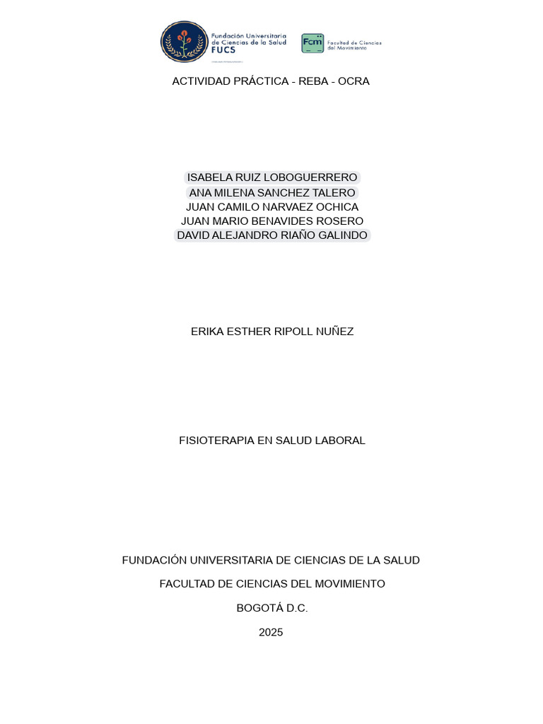 Actividad Práctica - Reba - Ocra | PDF