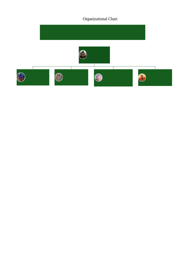 Organizational Chart Overview | PDF