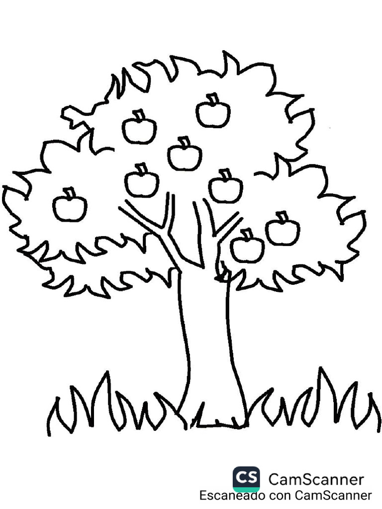 Albicorcos de Teipa | PDF