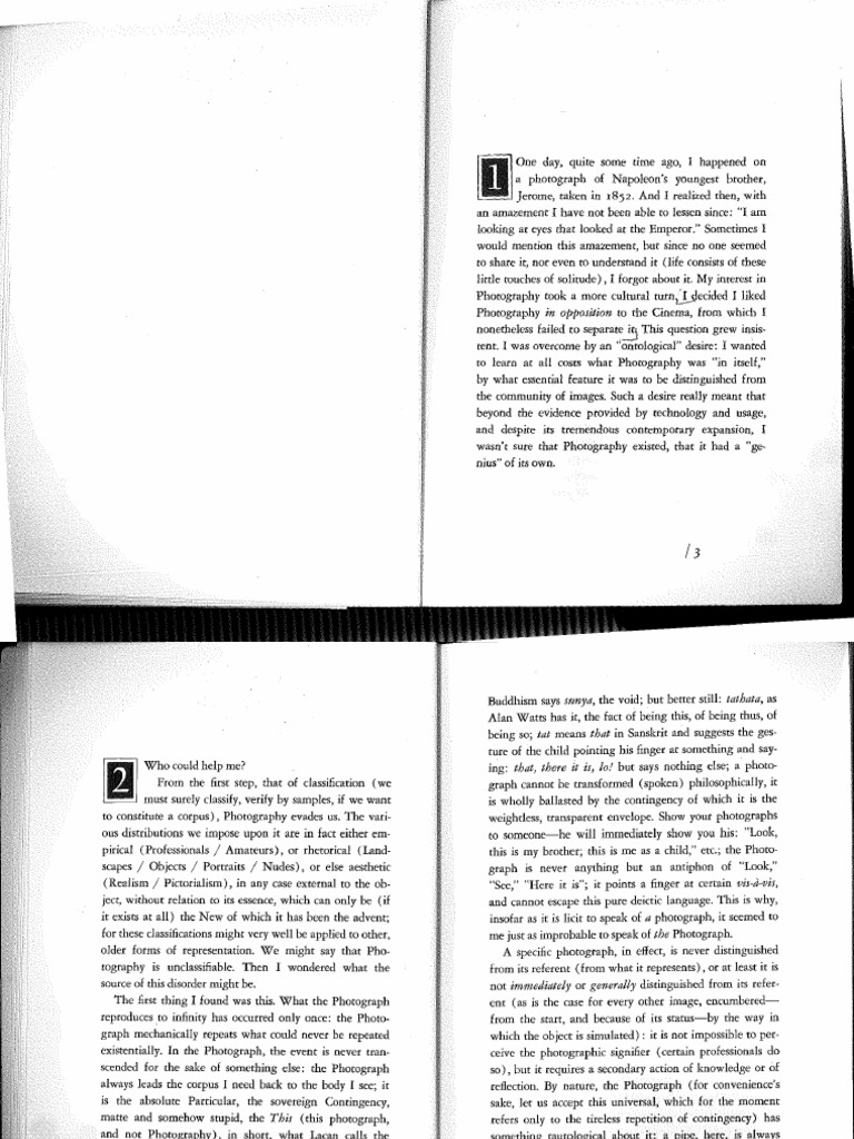 Barthes, R. Camera Lucida | PDF