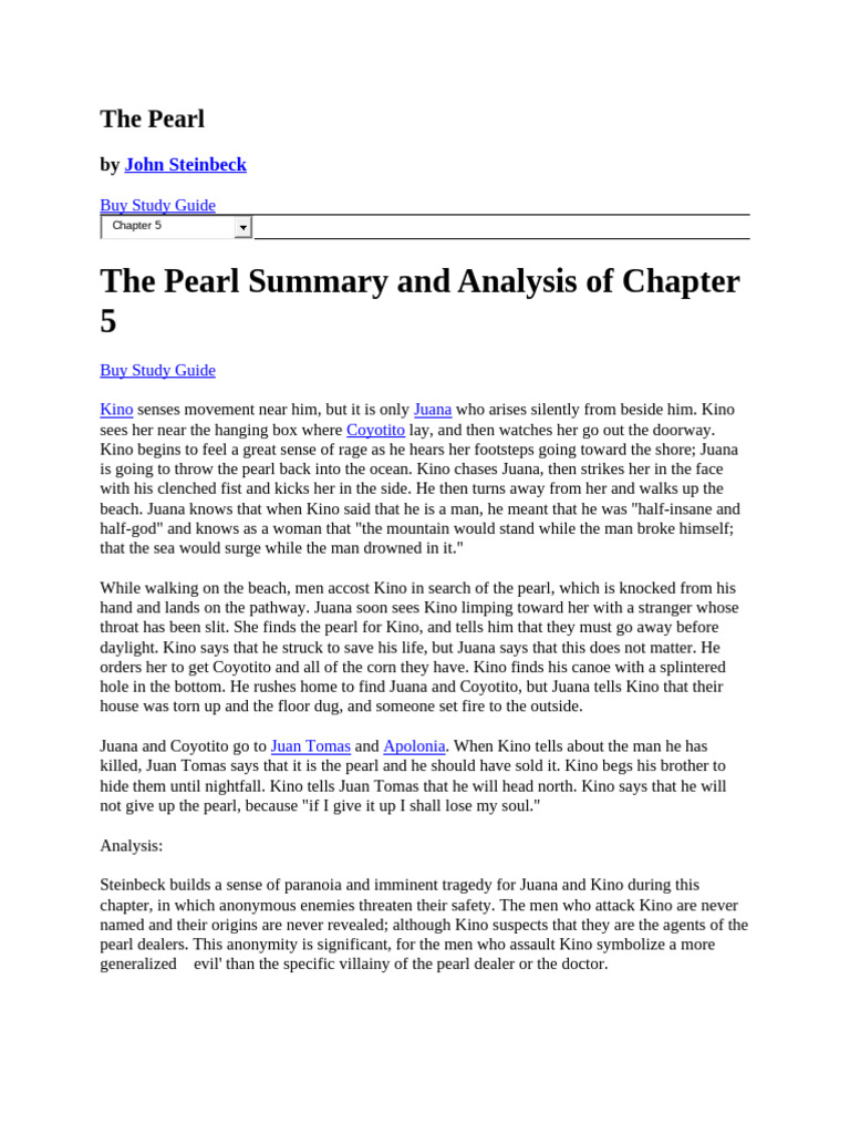 Chapter 5 Summary of The Pearl | PDF