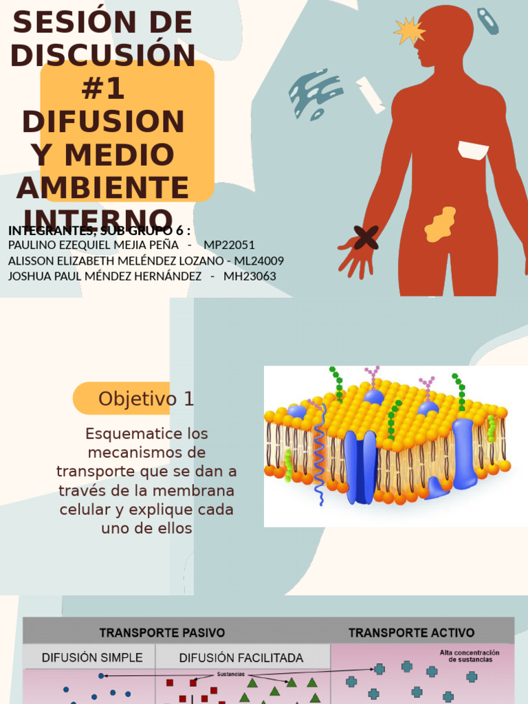 Discusión 1 Subgrupo 6 | PDF | Biología