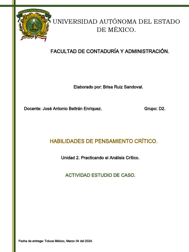 RUIZ SANDOVAL BRISA - Actividad Estudio de Caso | PDF | Netflix | Streaming Media