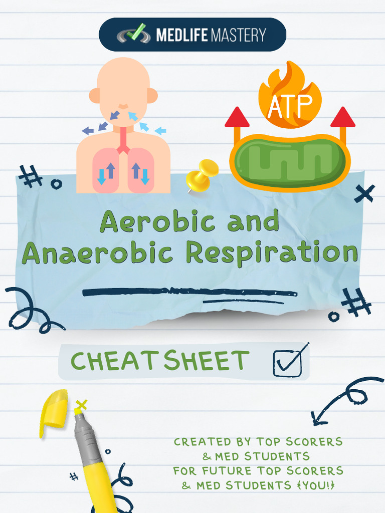 Aerobic and Anaerobic Respiration | PDF | Cellular Respiration ...